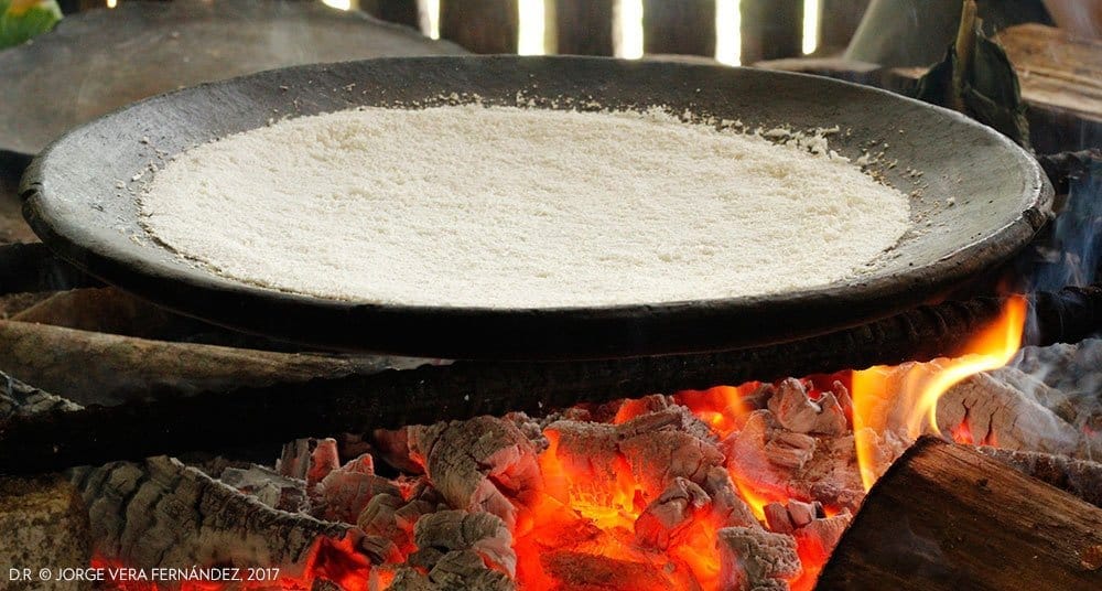 Casabe, el alimento indígena especial para hacer dieta y mejorar tu ...